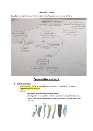Chapter 16 - fossil evidence for evolution - Chapter 16 – fossil ...