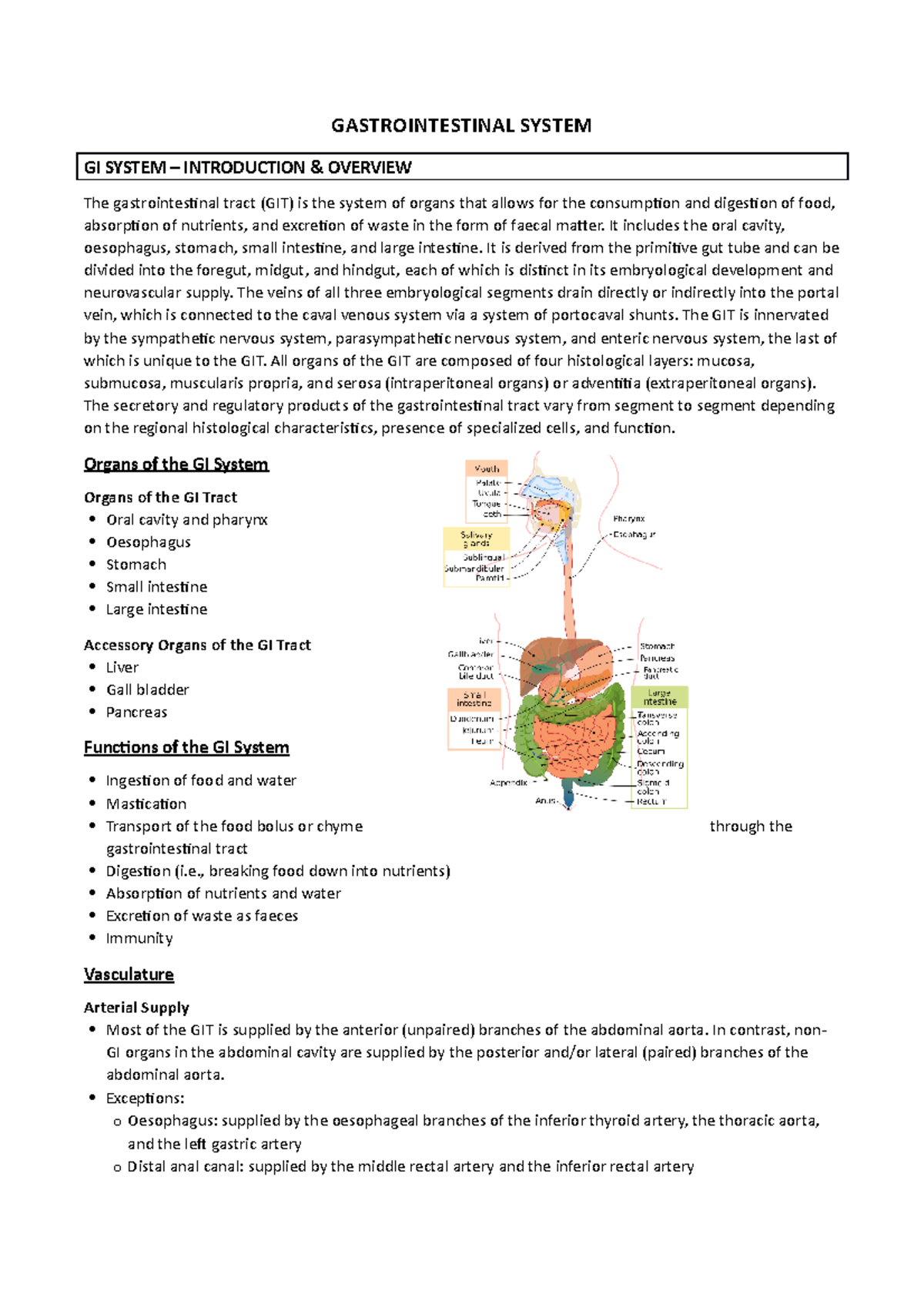 Overview of Gastrointestinal System (Basic Anatomy) - GASTROINTESTINAL ...