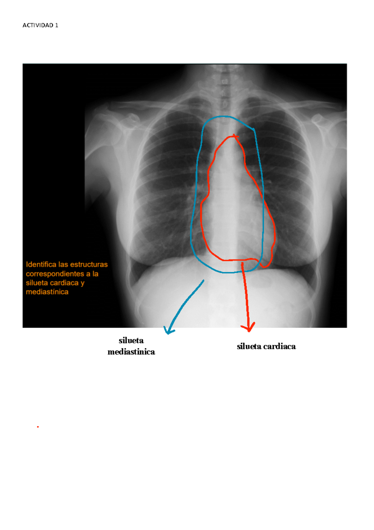 Actividad 1 UT5 - Biología y Geología - ACTIVIDAD - Studocu