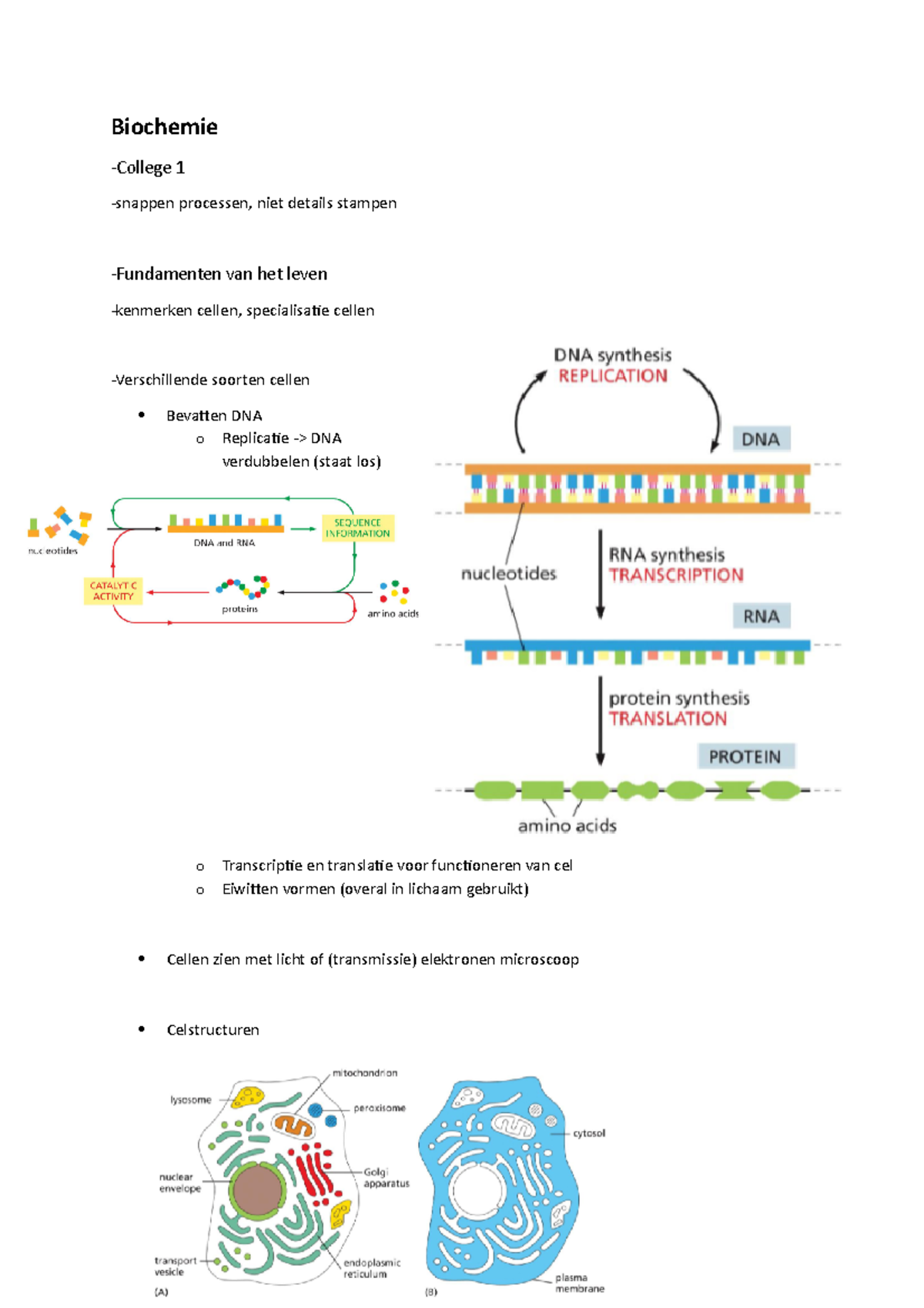 Biochemie college 1 - Biochemie -College 1 -snappen processen, niet ...