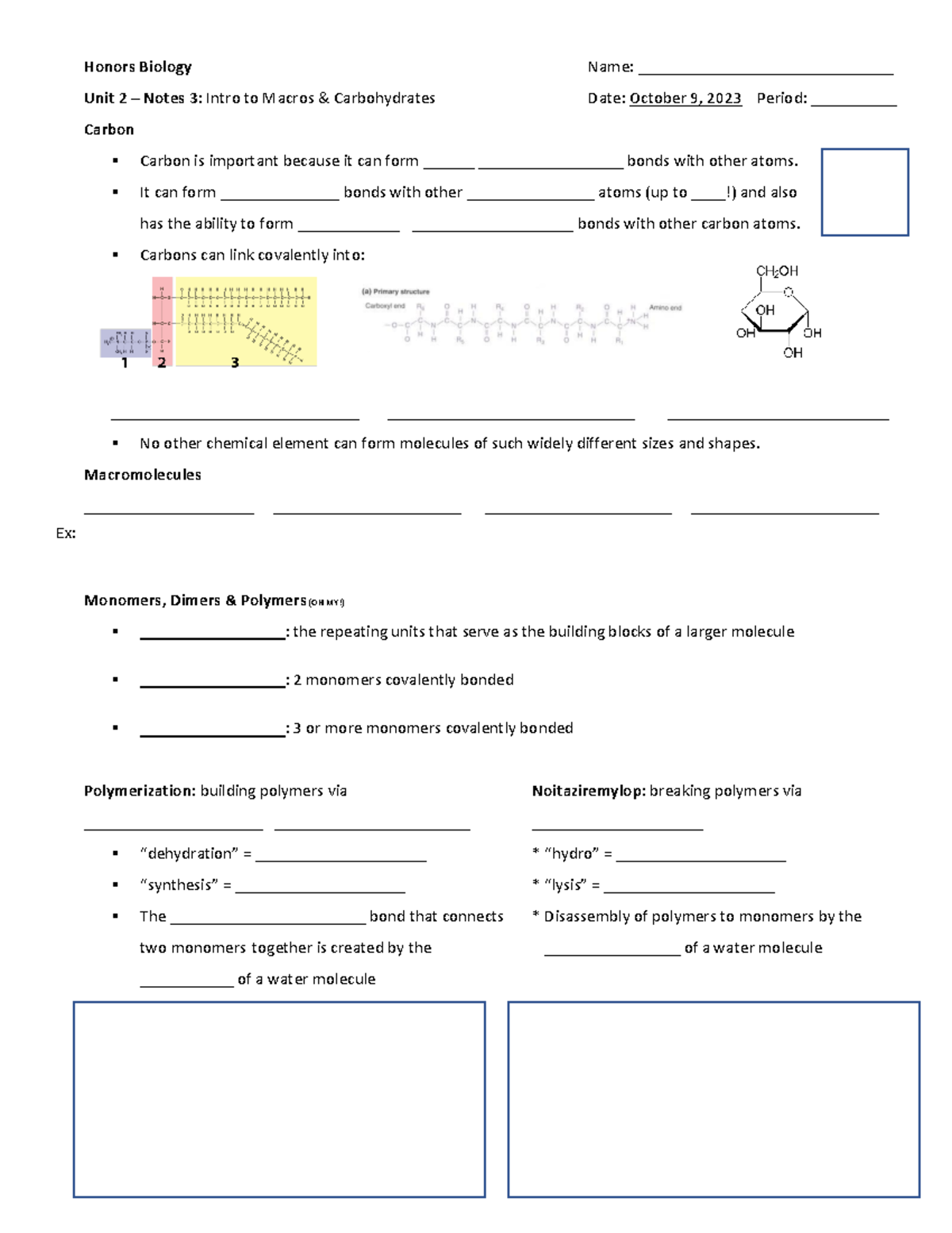 Hbio Notes 3 Intro Macros Carbs Handout Honors Biology Name