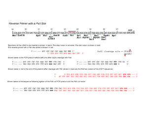MCB2050 W17 tutorial 4 - MCB 2050 - MCB*2050 Tutorial Assignment # 4 ...