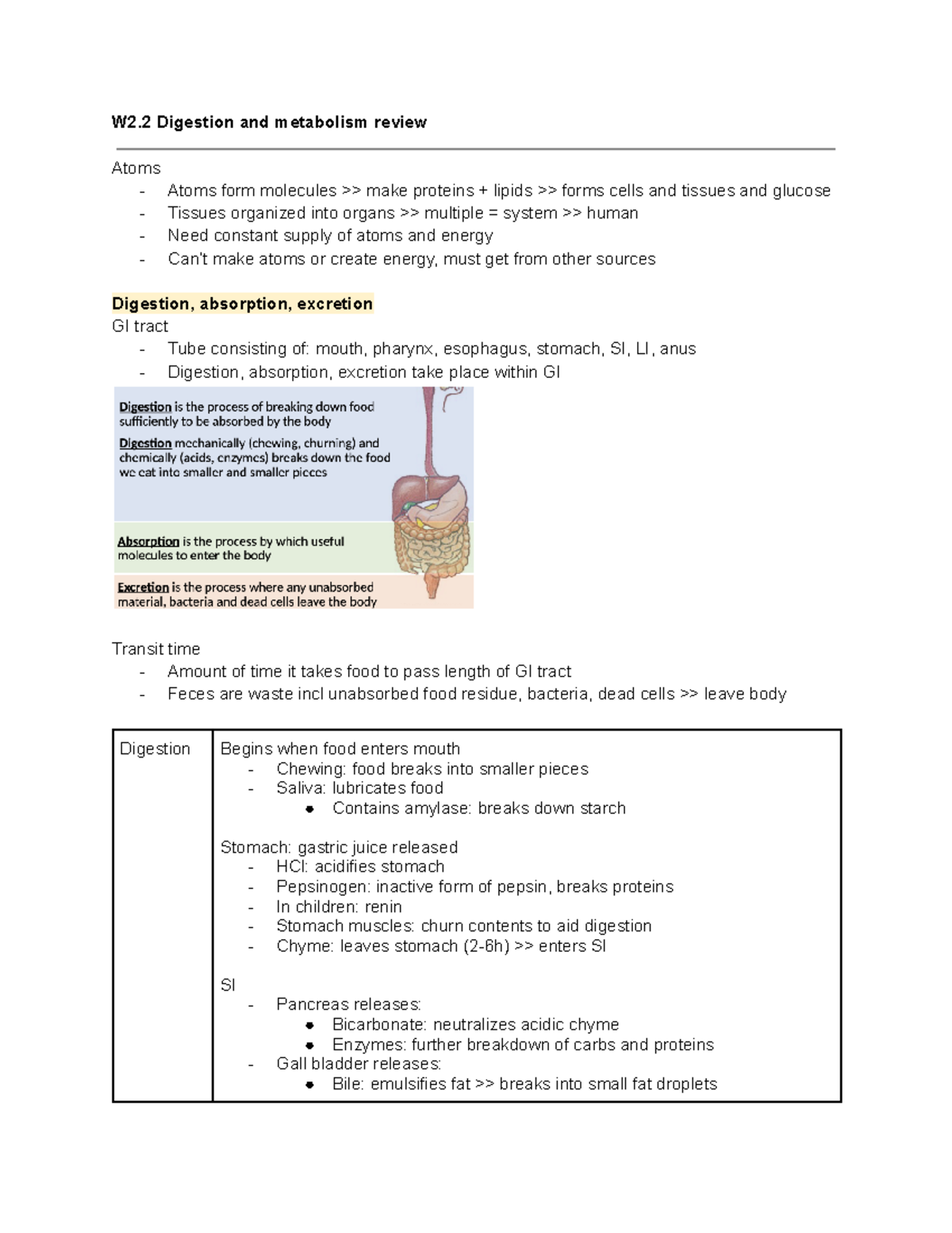 W2.2 Digestion and metabolism review - W2 Digestion and metabolism ...