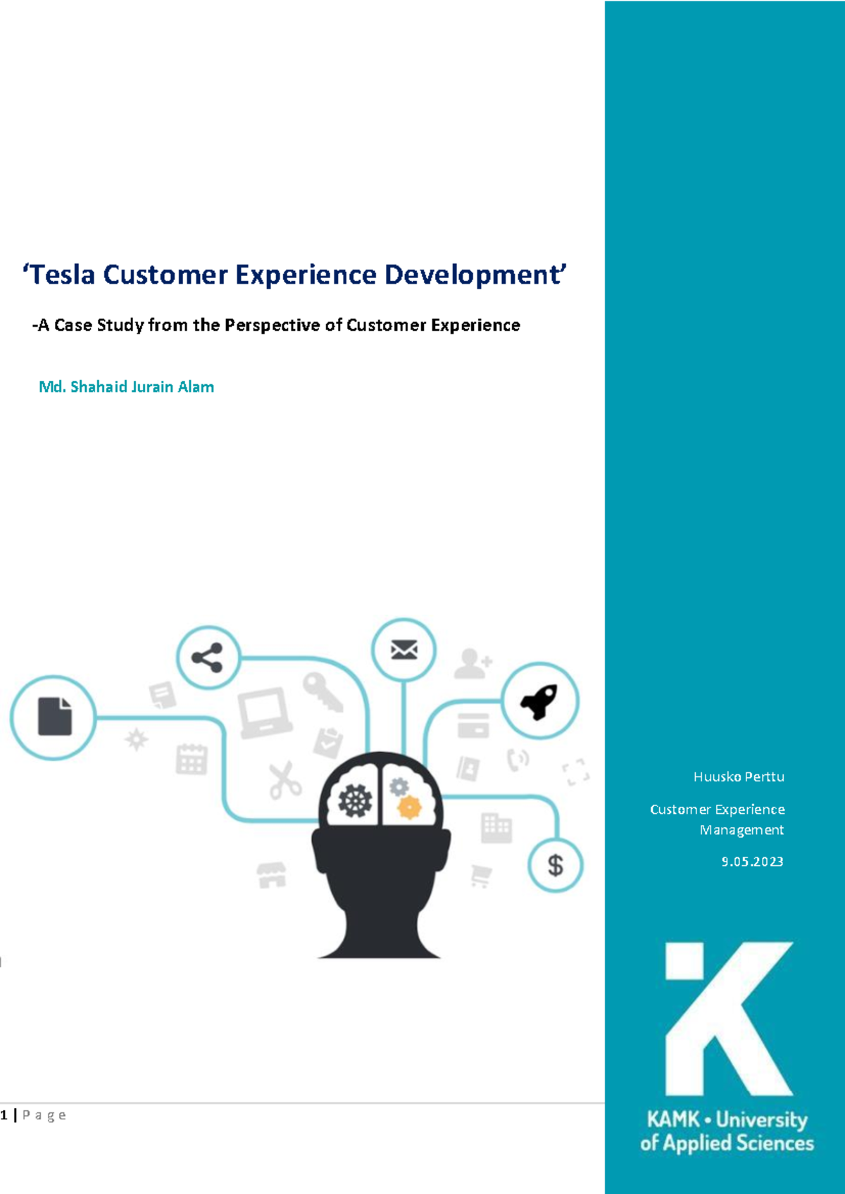 Individul Assignment 3 - ‘Tesla Customer Experience Development’ -A ...