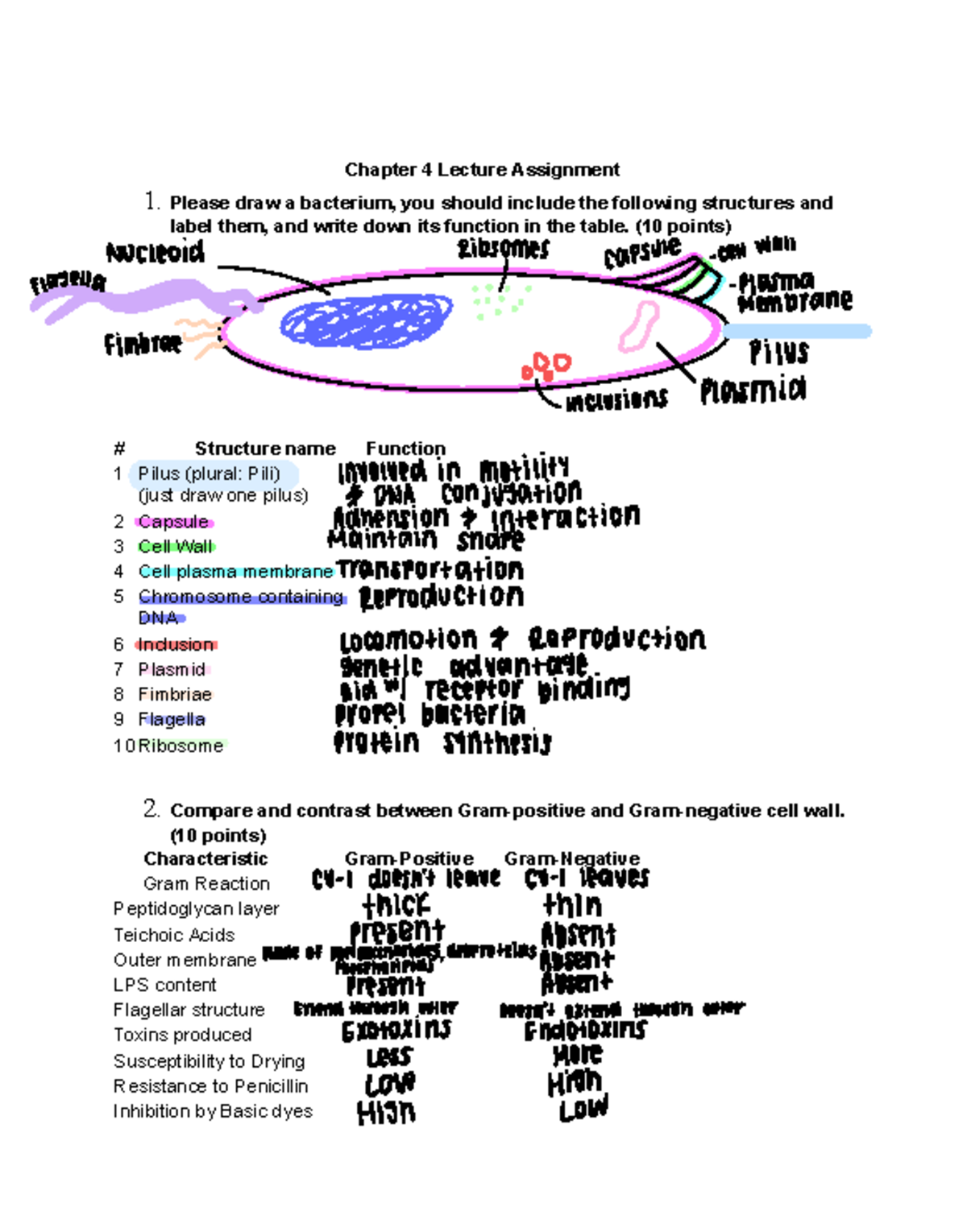 Chapter 4 Lecture Assignment - Chapter 4 Lecture Assignment 1. Please draw a bacterium, you ...