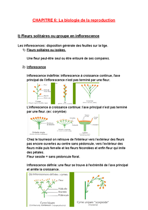 Chapitre 4 La tige - la tige - Chapitre 6 : La tige (ou l’axe ...