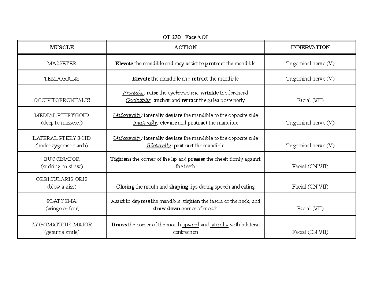 OT 230 - Face AOI - professor - Dr. Nealon - OT 230 - Face AOI MUSCLE ...