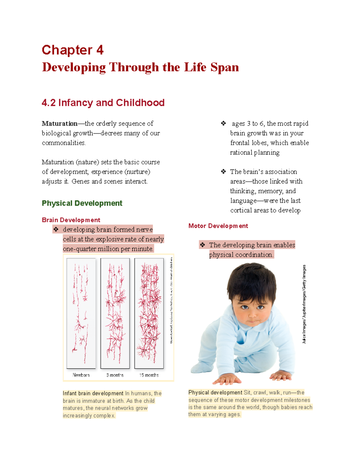 4.2 Infancy and Childhood - Chapter 4 Developing Through the Life Span ...