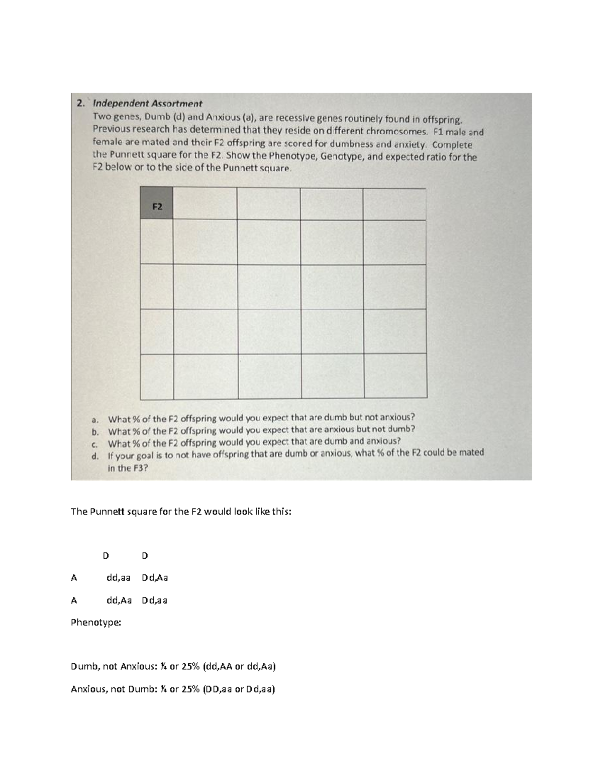 Independent assortment ques - The Punnett square for the F2 would look ...