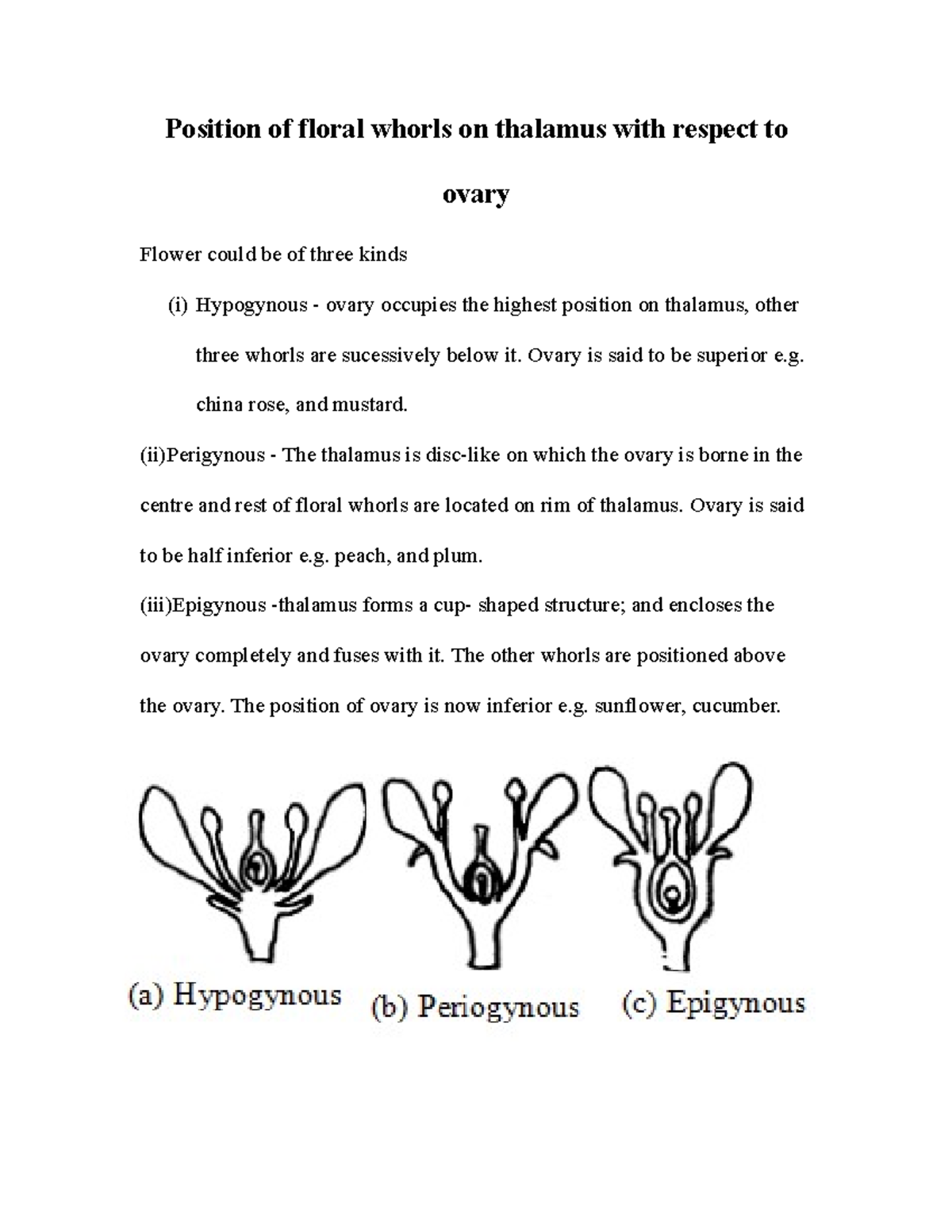 Position of floral whorls on thalamus with respect to ovary - Position ...
