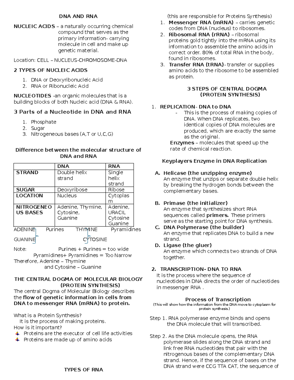 DNA AND RNA Central Dogma notes - DNA AND RNA NUCLEIC ACIDS – a ...