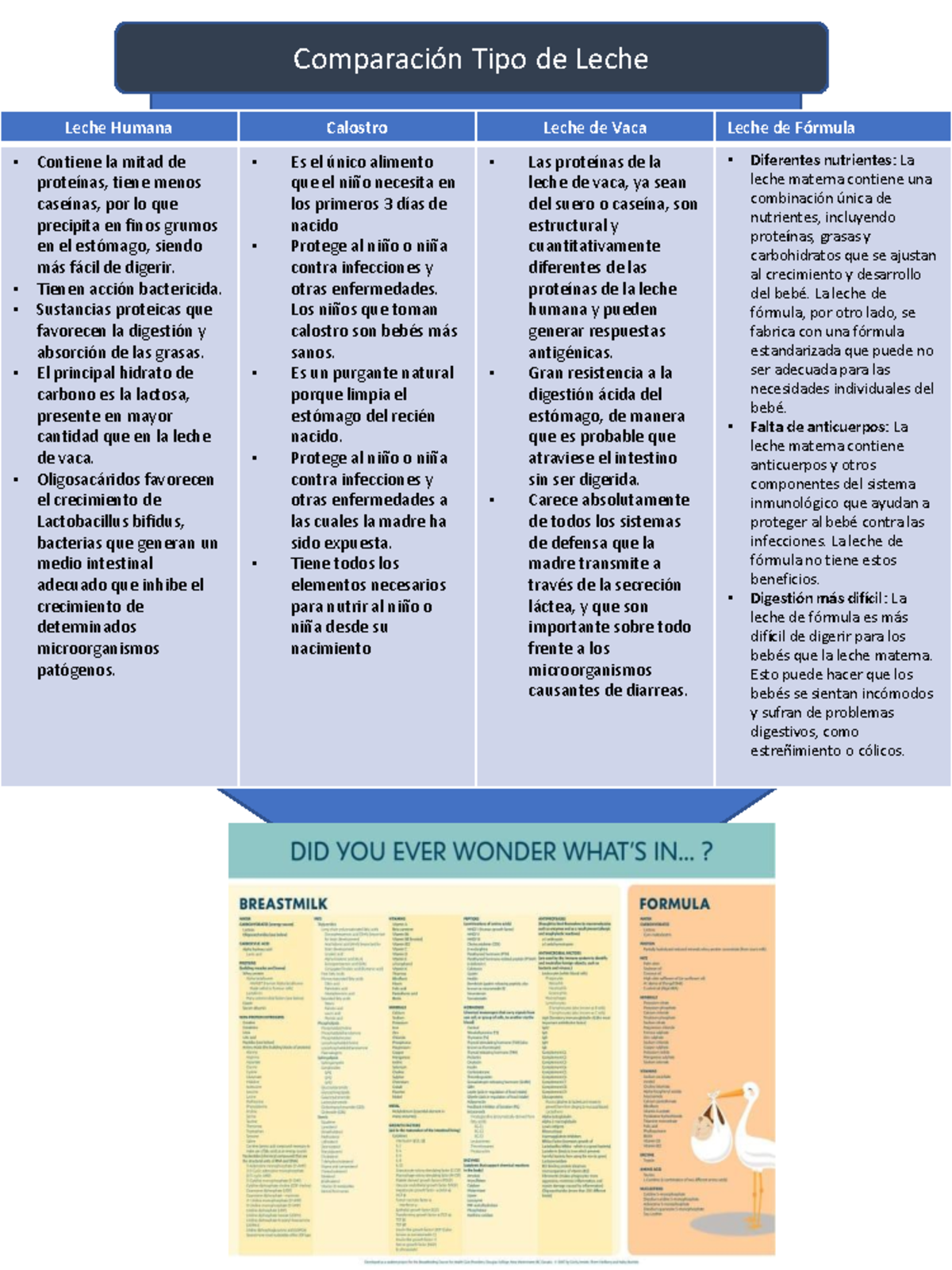 Tipos Leche MATERNA - Leche Humana Calostro Leche de Vaca Leche de Fórmula Contiene la mitad de ...