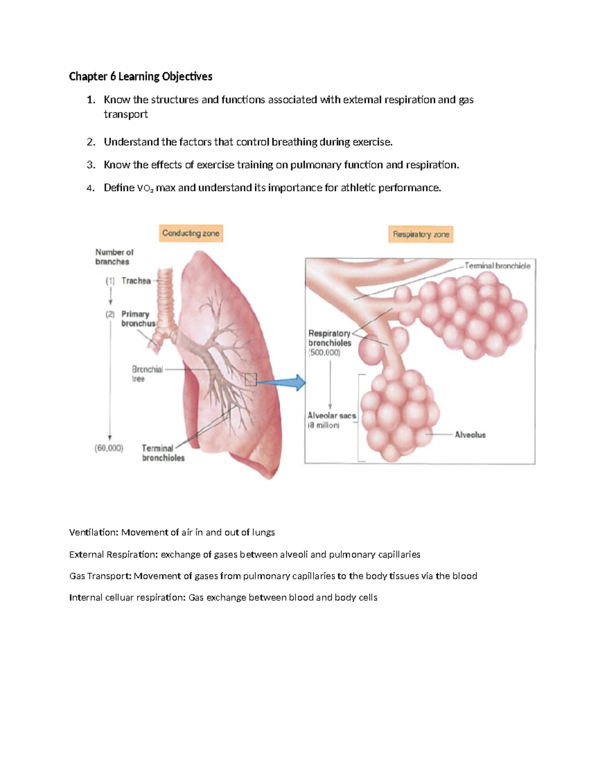 Chapter 6 Learning Objectives - Chapter 6 Learning Objectives 1. Know the structures and ...
