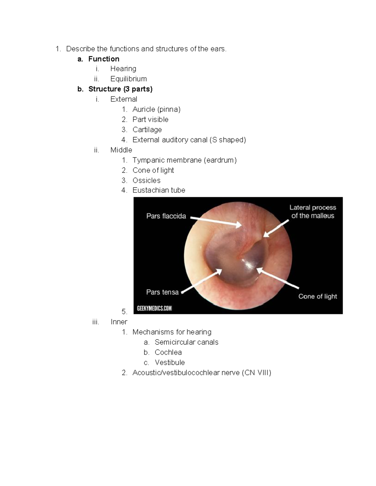 Assessing Ears - Lecture notes 4,5 - Describe the functions and ...
