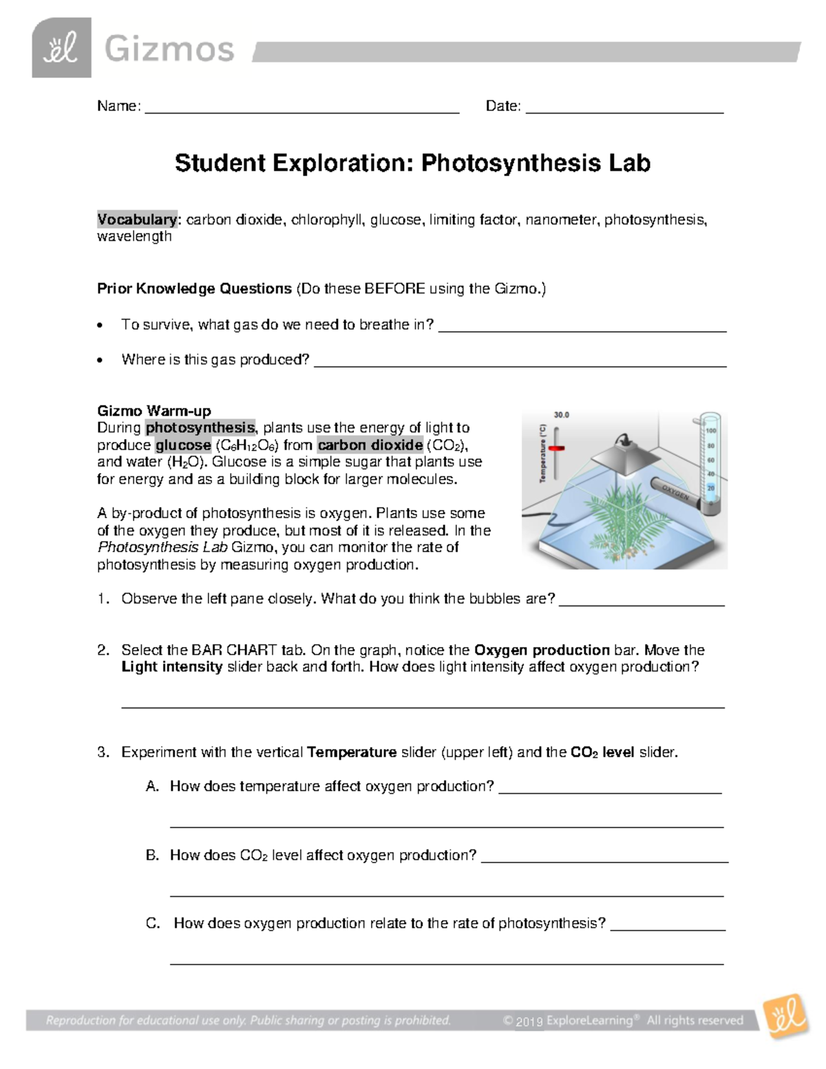 Photosynthesis Lab SE - Name ...