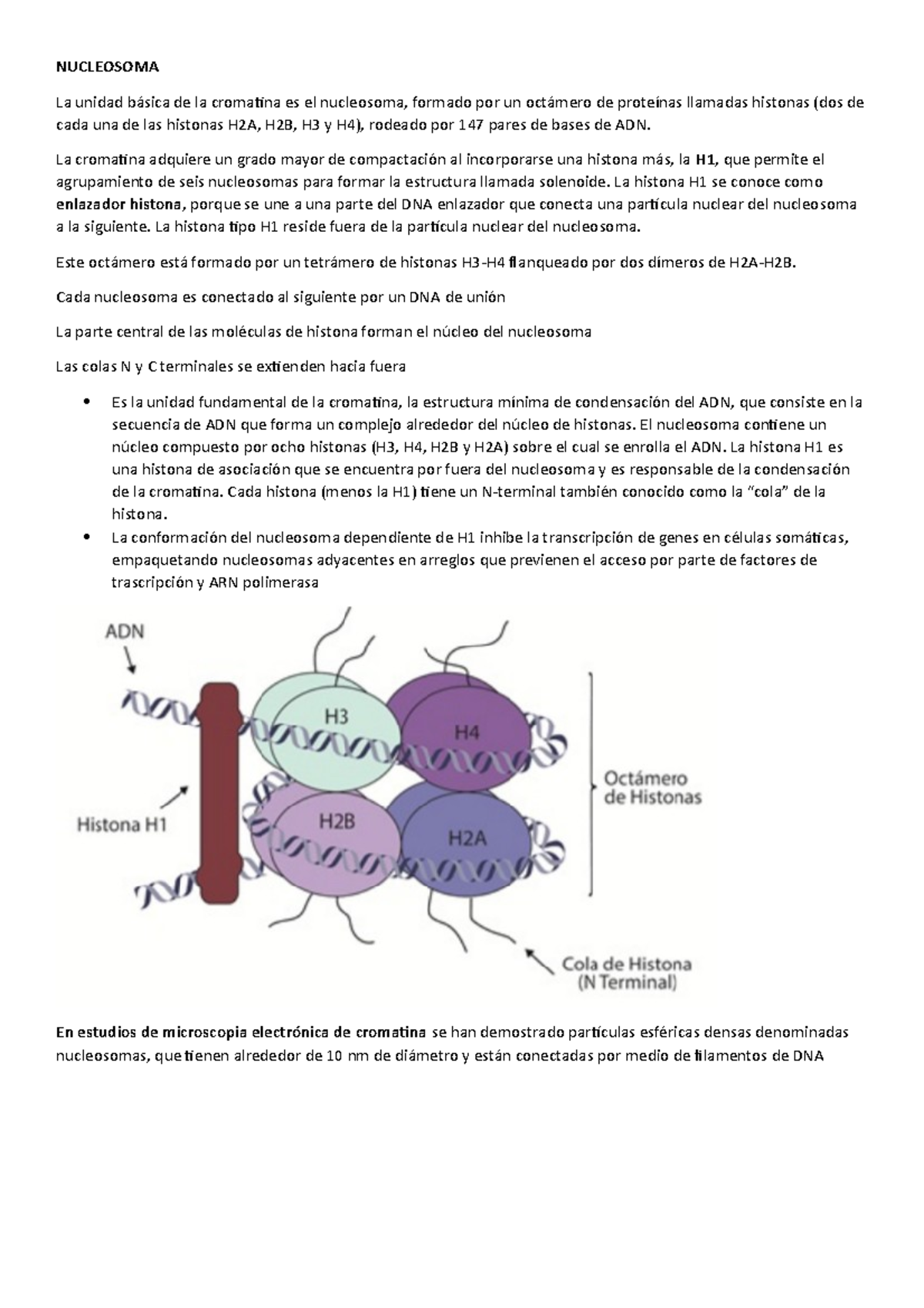 Estructura del nucleosoma y su relación con la epigenética - Biología ...