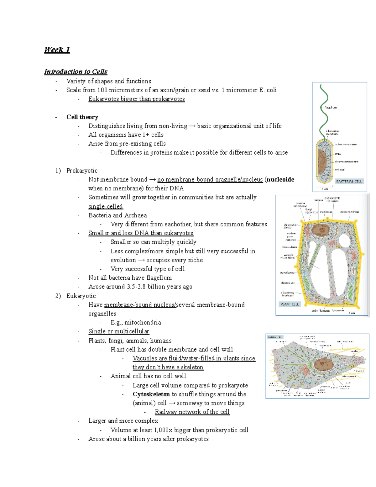 BIO130 Lecture Notes - Jan 8 - Week 1 Introduction to Cells Variety of ...