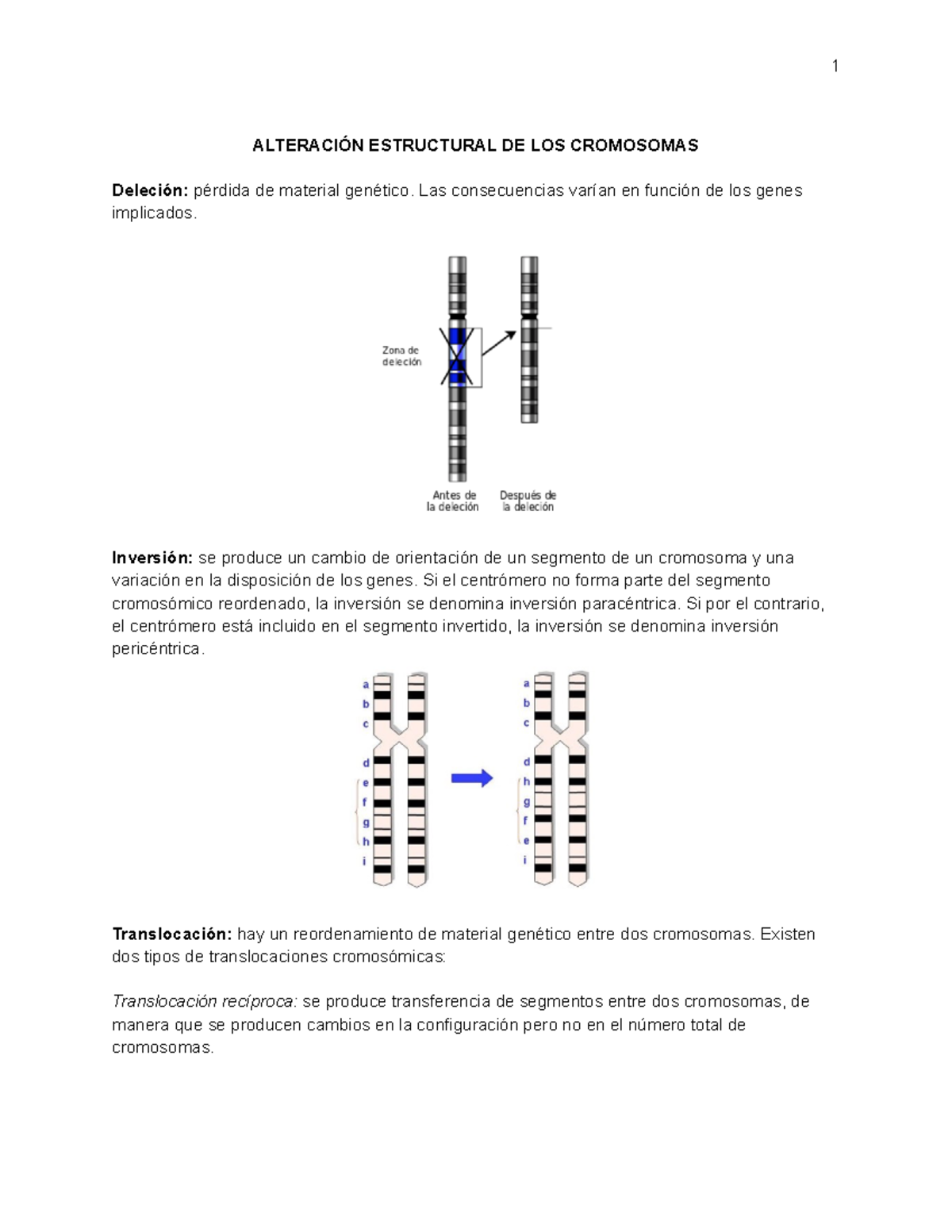AlteracióN Estructural DE LOS Cromosomas - 1 ALTERACIÓN ESTRUCTURAL DE ...