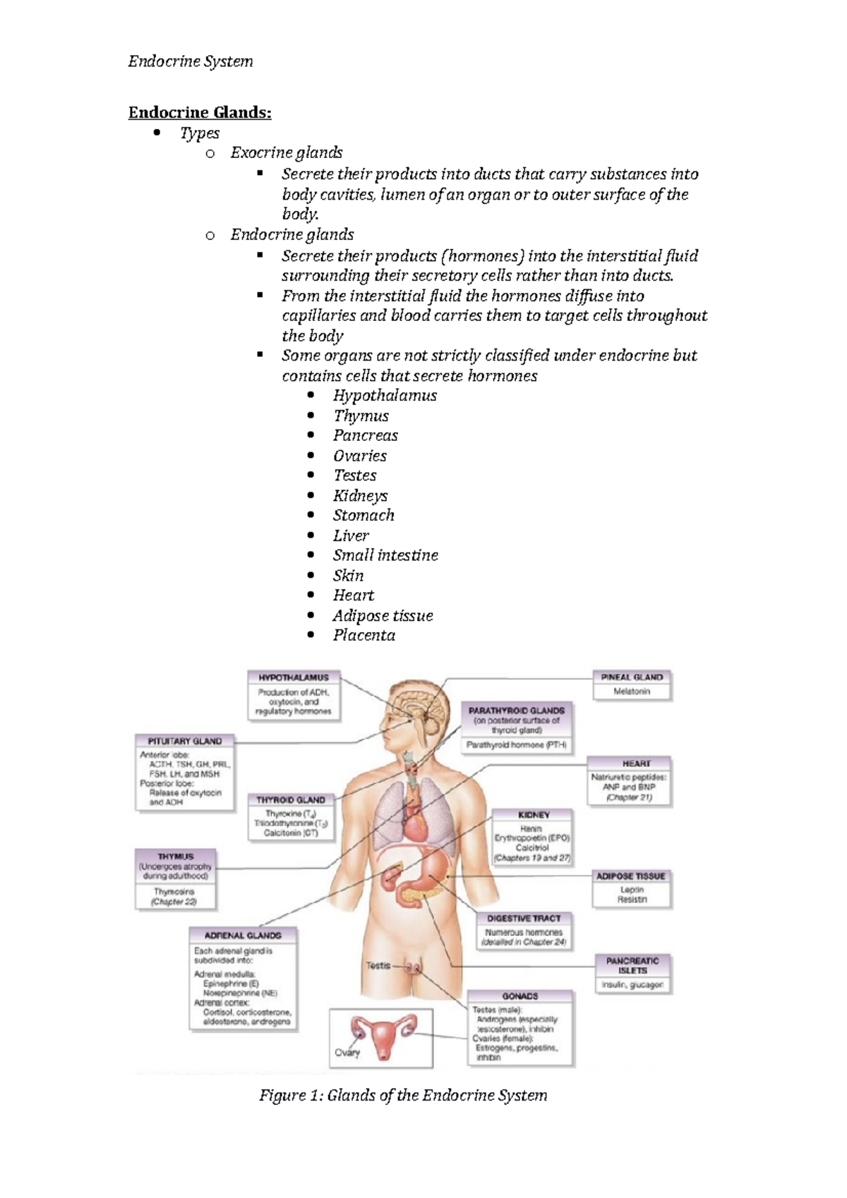 Endocrine Glands Lecture Notes - Endocrine System Endocrine Glands ...