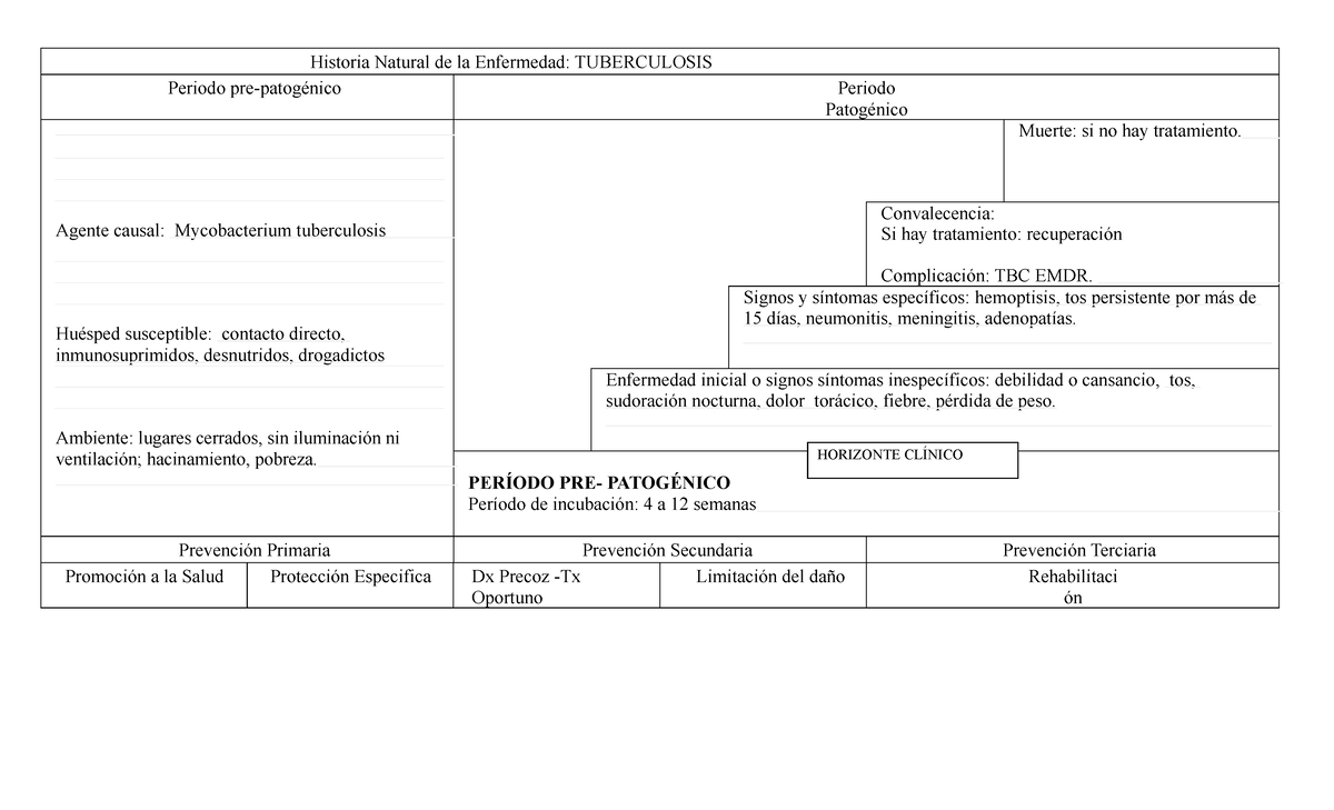 Historia Natural TBC - Historia Natural de la Enfermedad: TUBERCULOSIS ...
