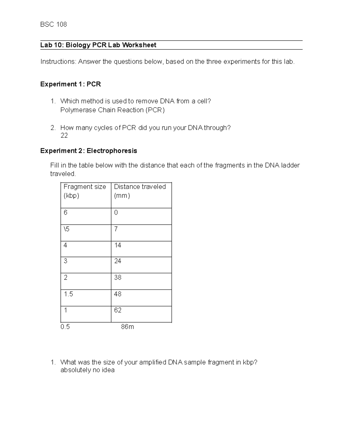 LAB10 Wksht - bio - BSC 108 Lab 10: Biology PCR Lab Worksheet ...