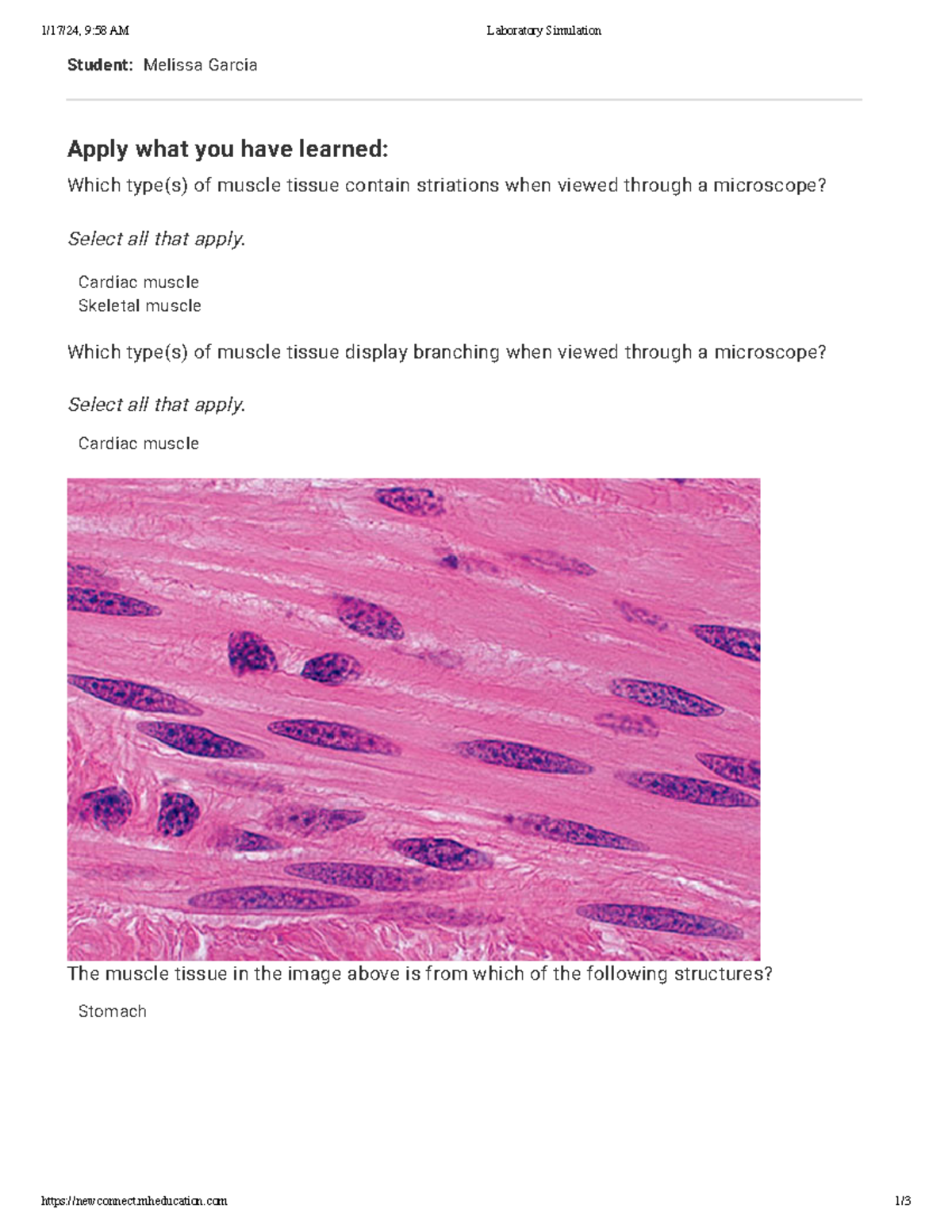 Muscle Tissue Histology - 1/17/24, 9:58 AM Laboratory Simulation ...