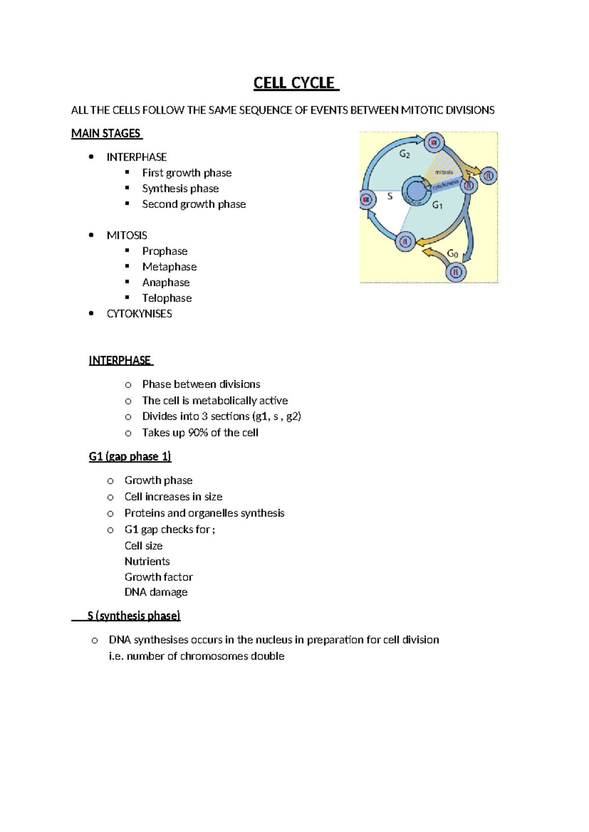 CELL Cycle - CELL CYCLE ALL THE CELLS FOLLOW THE SAME SEQUENCE OF ...