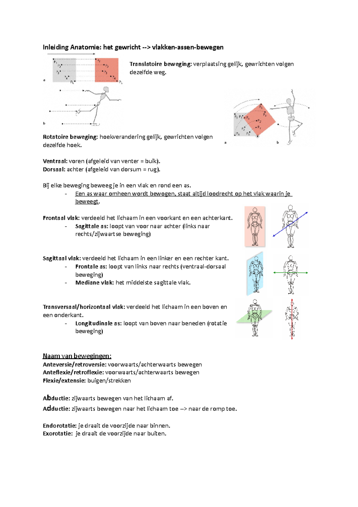 Anatomie - Inleiding het gewricht - vlakken-assen-bewegen - Inleiding ...