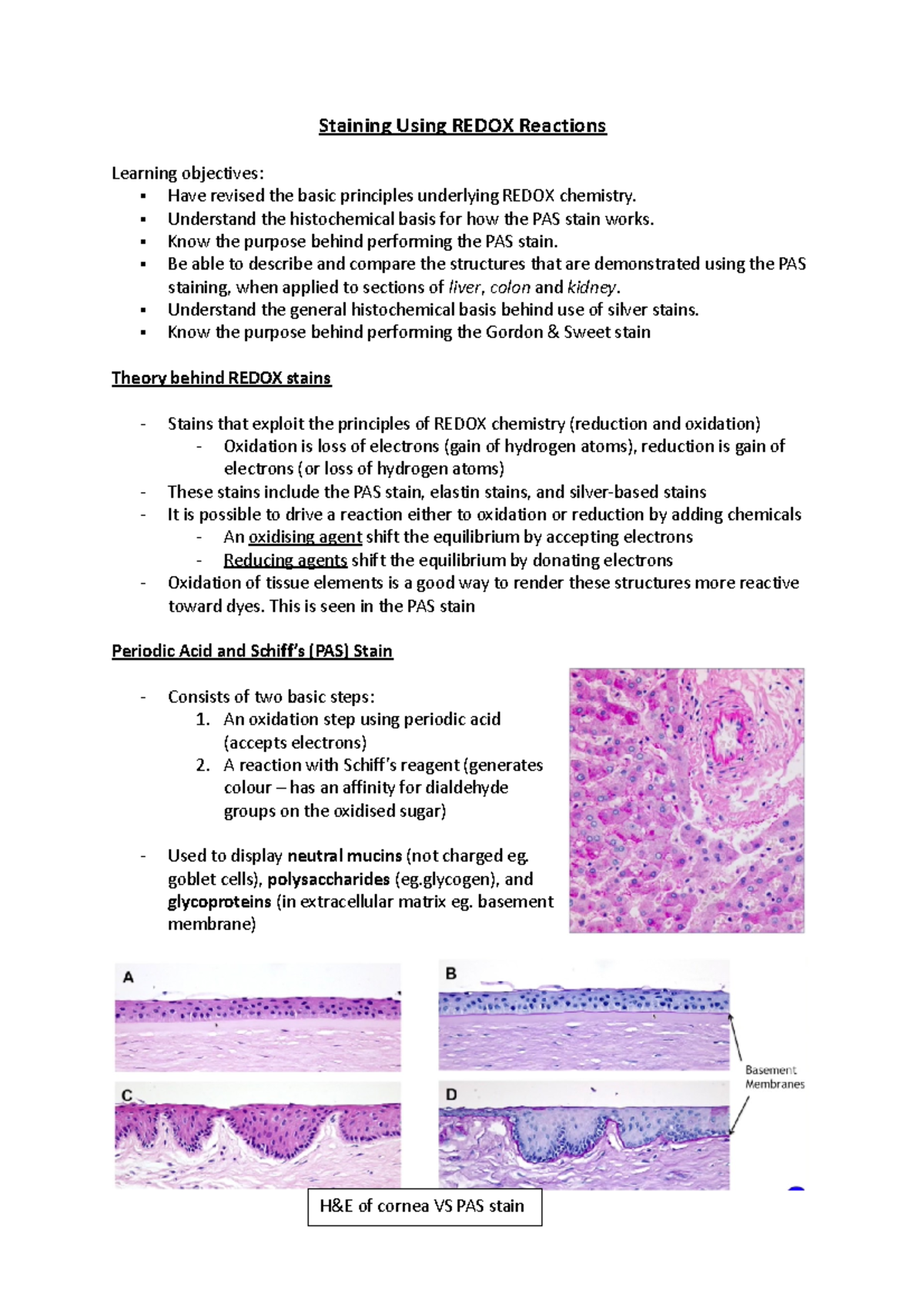 Staining Using Redox Reactions - Staining Using REDOX Reactions Learning objectives: Have ...