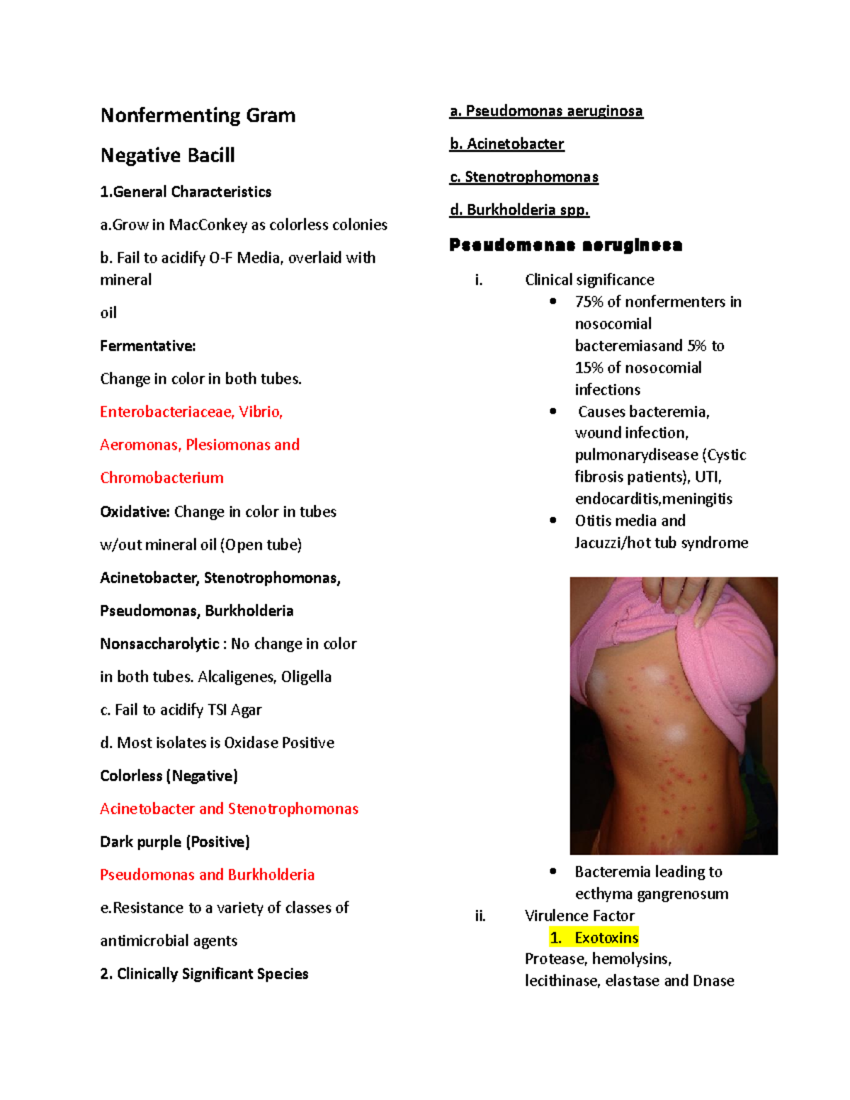 Nonfermenting-Gram - none - Nonfermenting Gram Negative Bacill 1 ...