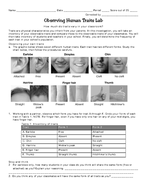 Chapter 8 test form 2b - cheat sheet - Course 2 • Chapter 8 Measure ...