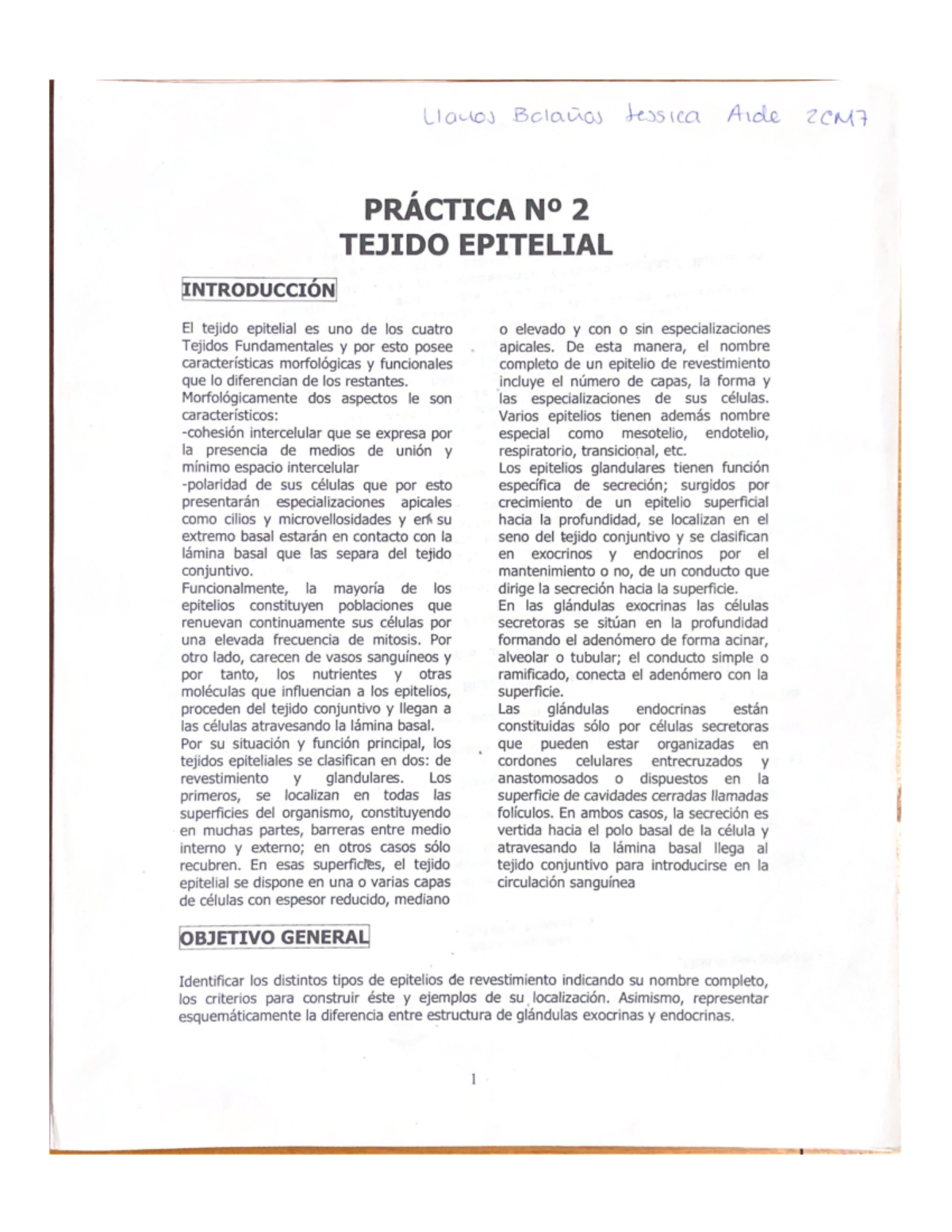 PRÁ Ctica N° 2 - Ninguna - Histologia - Studocu