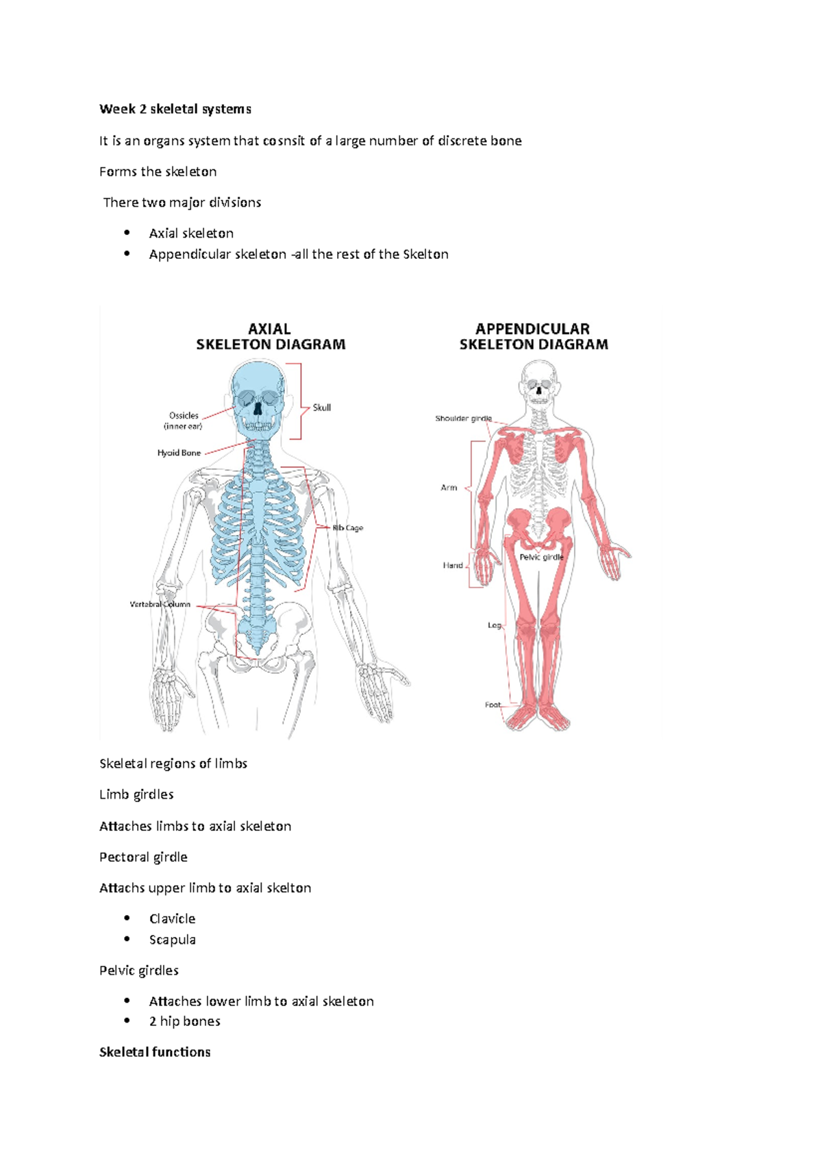 Week 2 skeletal systems - Week 2 skeletal systems It is an organs ...