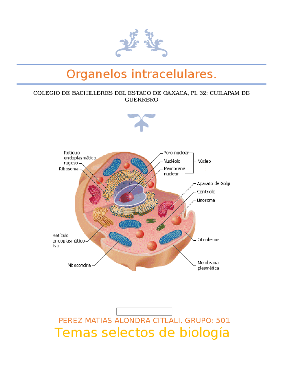 Perez Matias Alondra CITLali , organelos intracelulares - Organelos ...