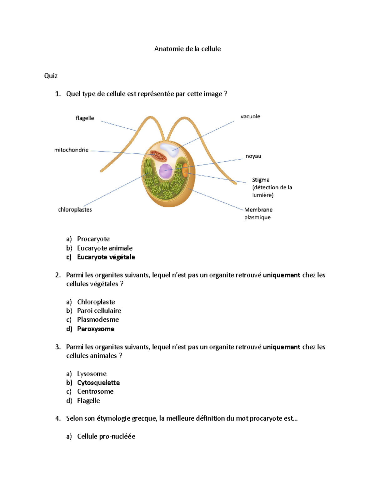 Quiz 1 - (corrigé) Exploration de la cellule - Anatomie de la cellule ...
