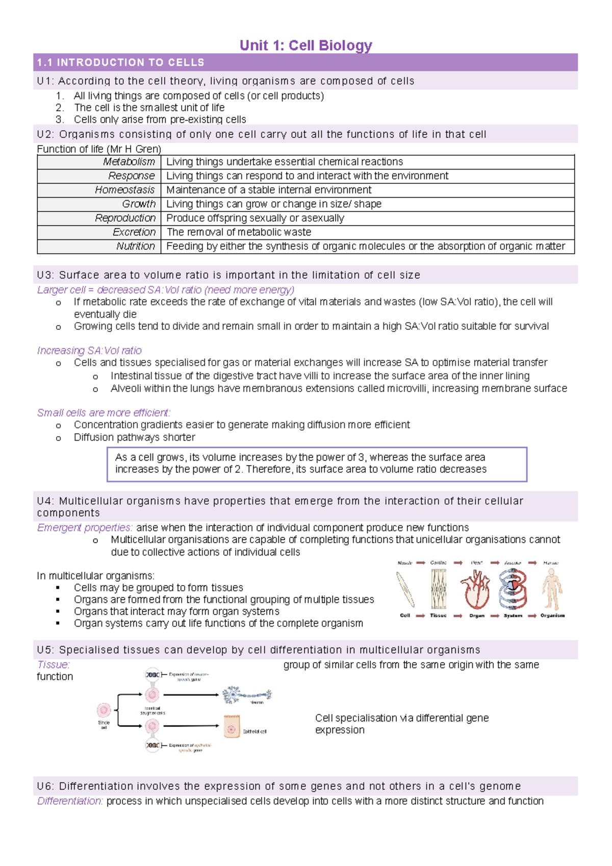 Unit 1 IB notes - Unit 1: Cell Biology 1 INTRODUCTION TO CELLS U1 ...