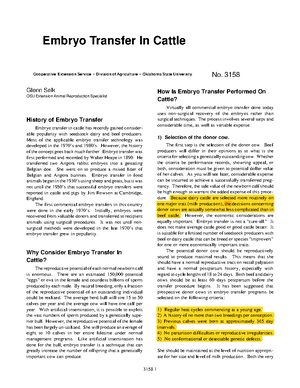 Grade 7 History Quetta Assessment May 21 - Pak-Turk Maarif ...