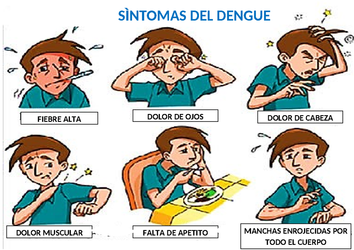 Imagen Sintomas DEL Dengue - ciencia y tecnologia - FIEBRE ALTA DOLOR ...