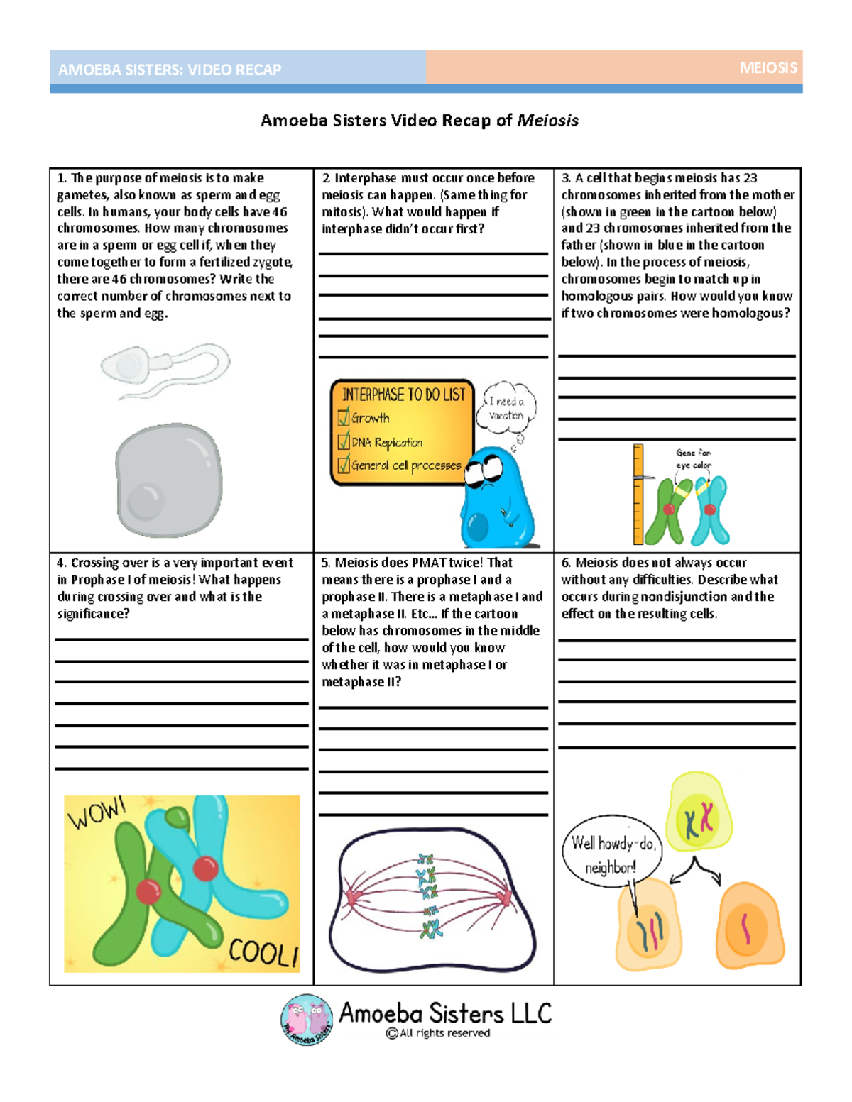 Amoeba Sisters- Meiosis edited - AMOEBA SISTERS: VIDEO RECAP MEIOSIS ...