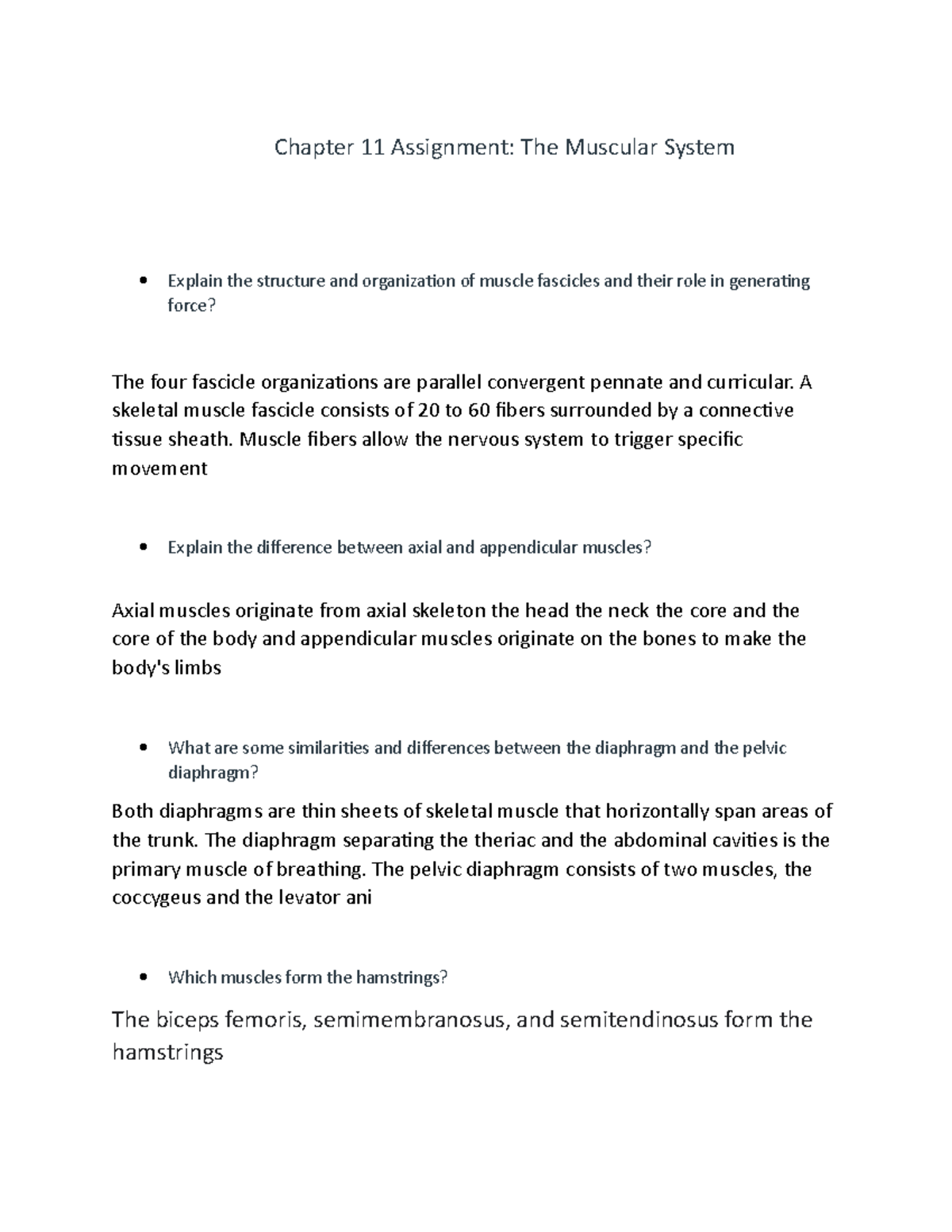Document 93 - the muscular system assignment - Chapter 11 Assignment ...