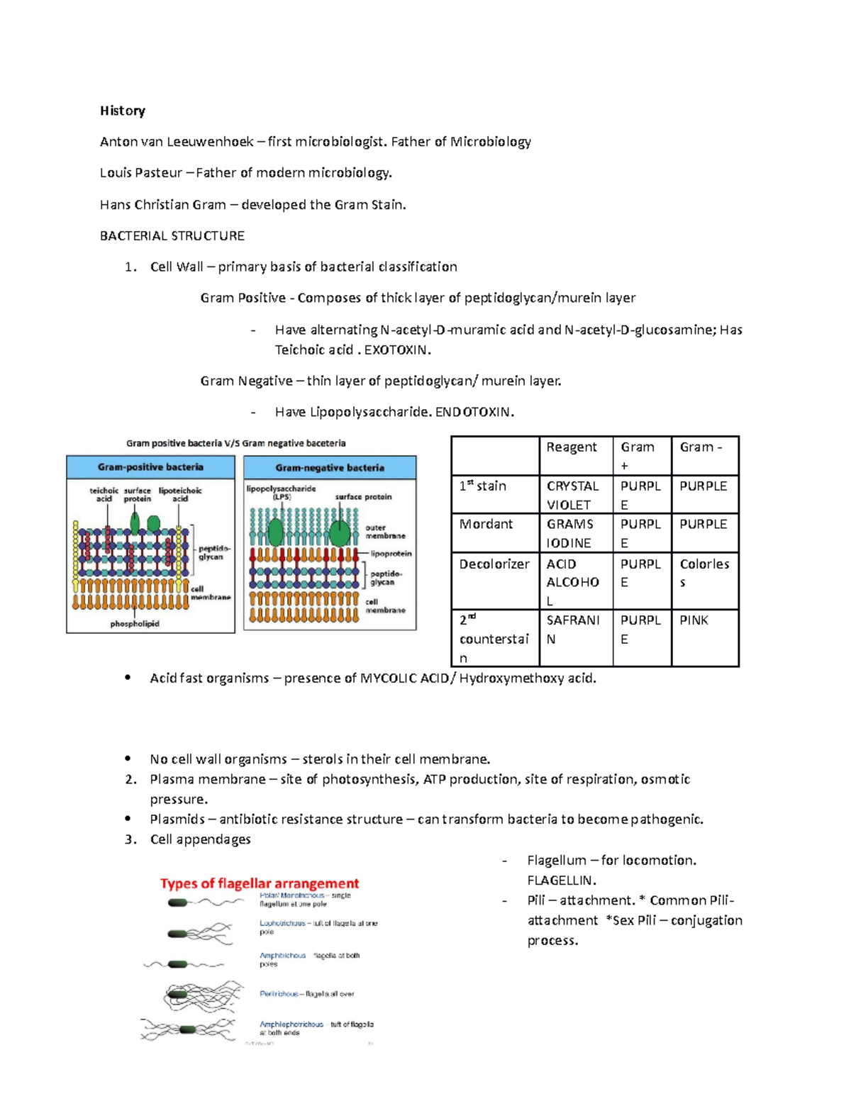 Bacteriology-Lecture - History Anton van Leeuwenhoek – first ...