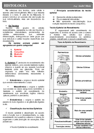 Infecções - periodo do processo infeccioso. - PERÍODOS DO PROCESSO ...