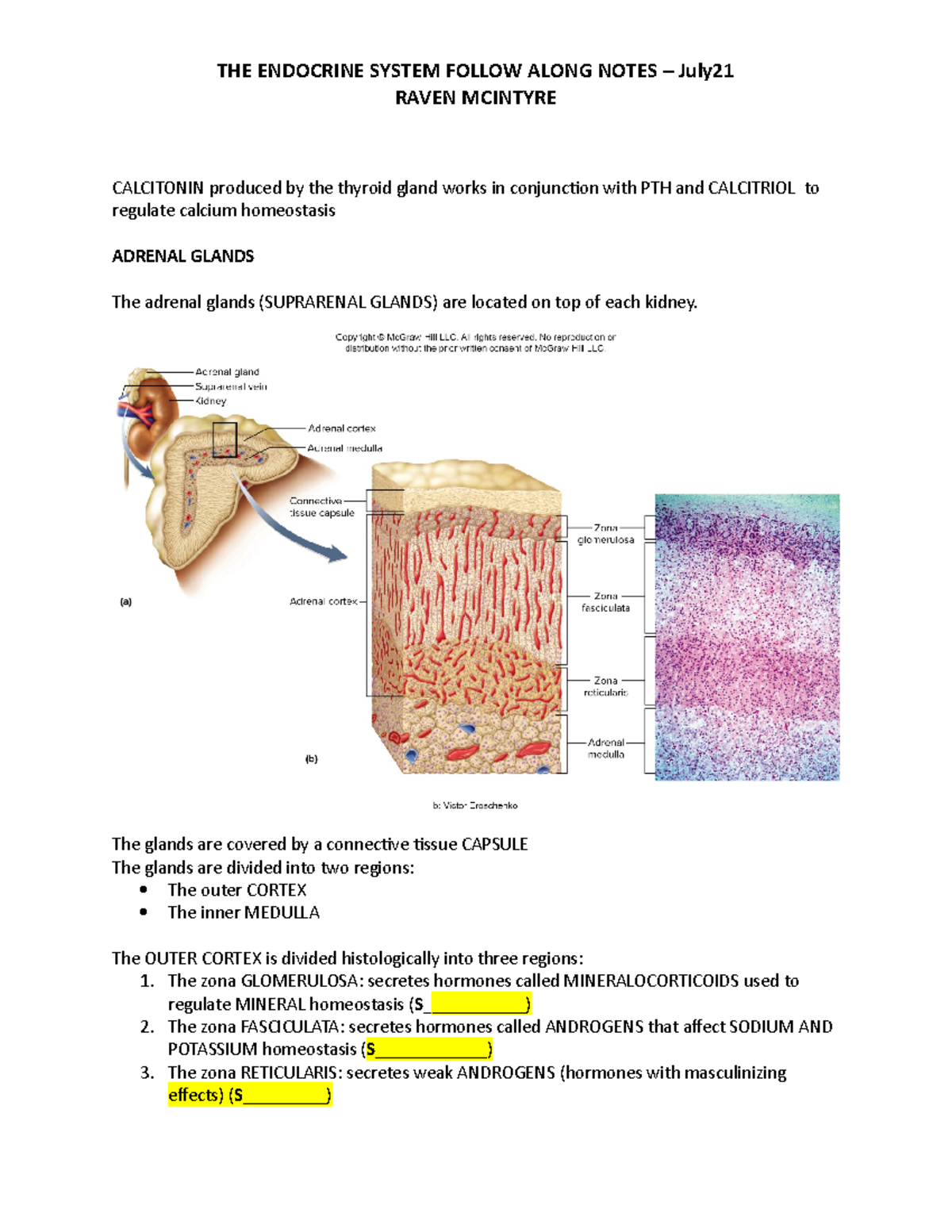 WEEK 7 Assignment - chapter outline - RAVEN MCINTYRE CALCITONIN ...