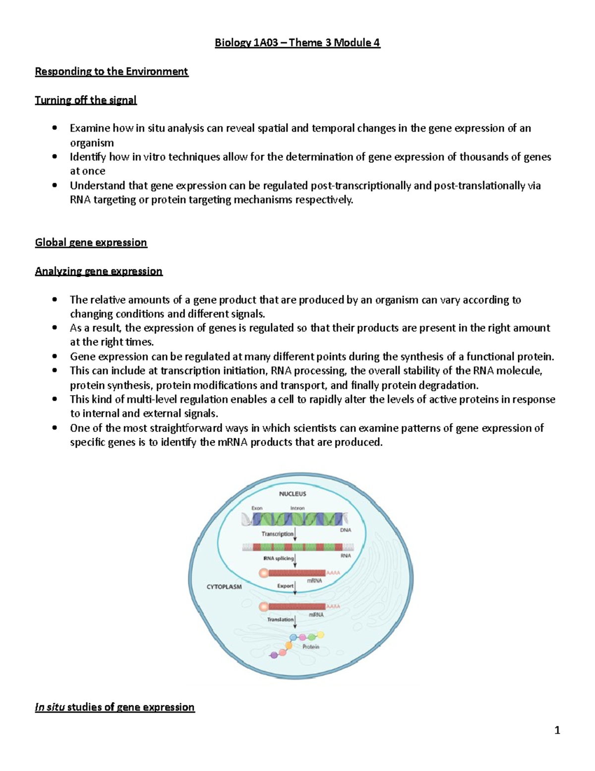 Biology 1A03 – Theme 3 Module 4 - Biology 1A03 – Theme 3 Module 4 ...
