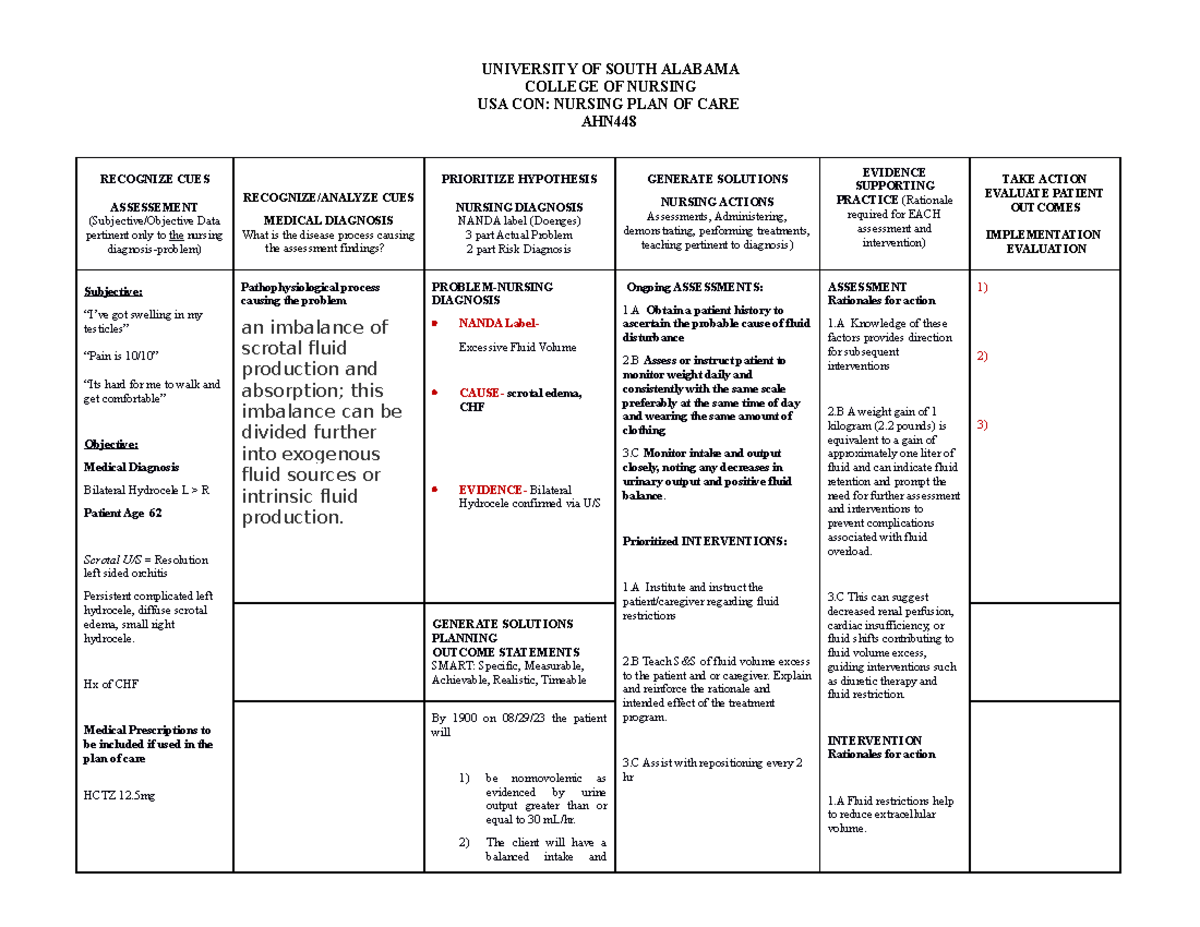 Excess Fluid Volume Care Plan - RECOGNIZE CUES ASSESSEMENT (Subjective ...