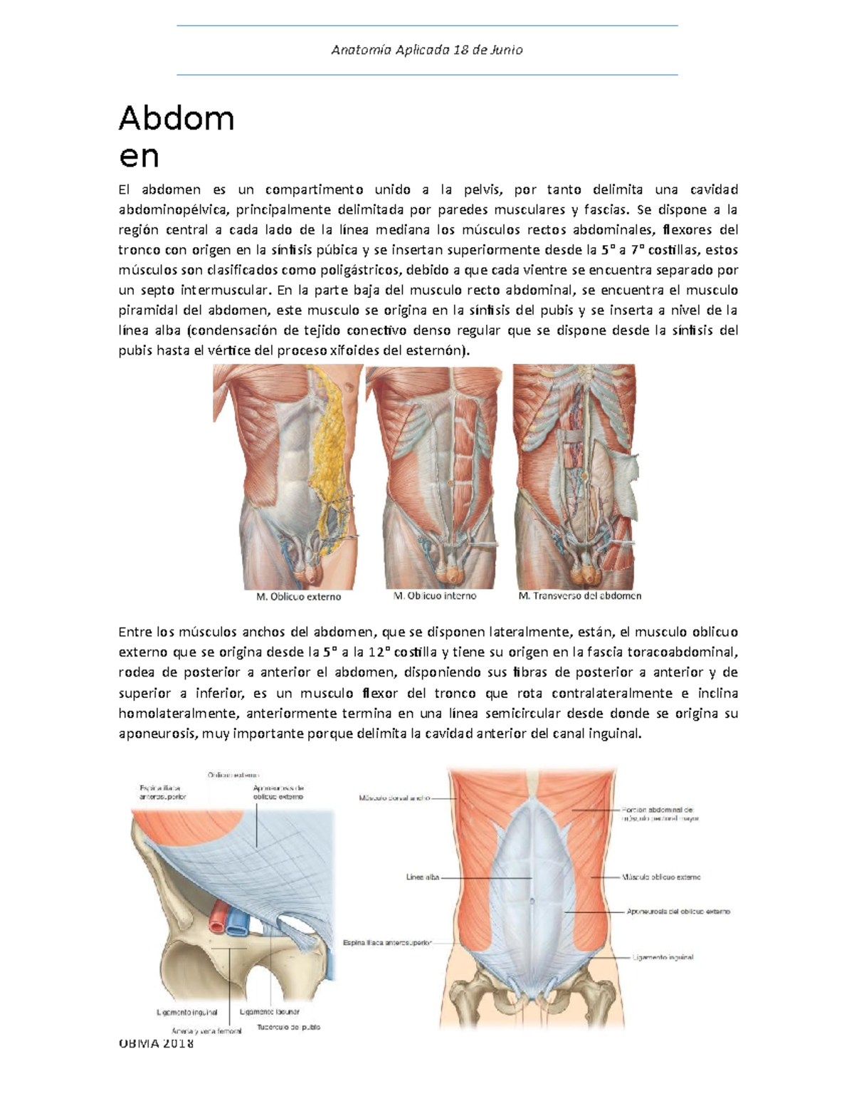 Apunte de Abdomen, órganos supramesocólicos. - Anatomía Aplicada 18 de ...