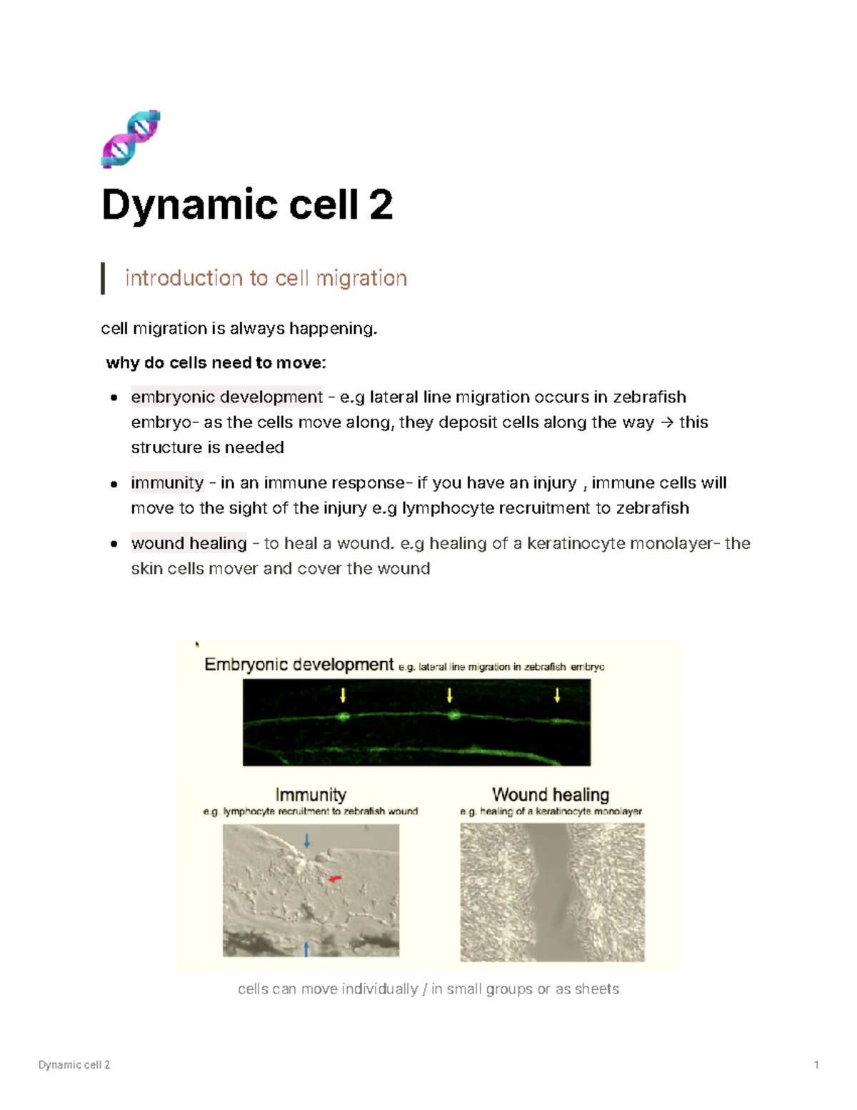 Dynamic Cell 2 Lecture 2 Notes 🧬 Dynamic Cell 2 Introduction To