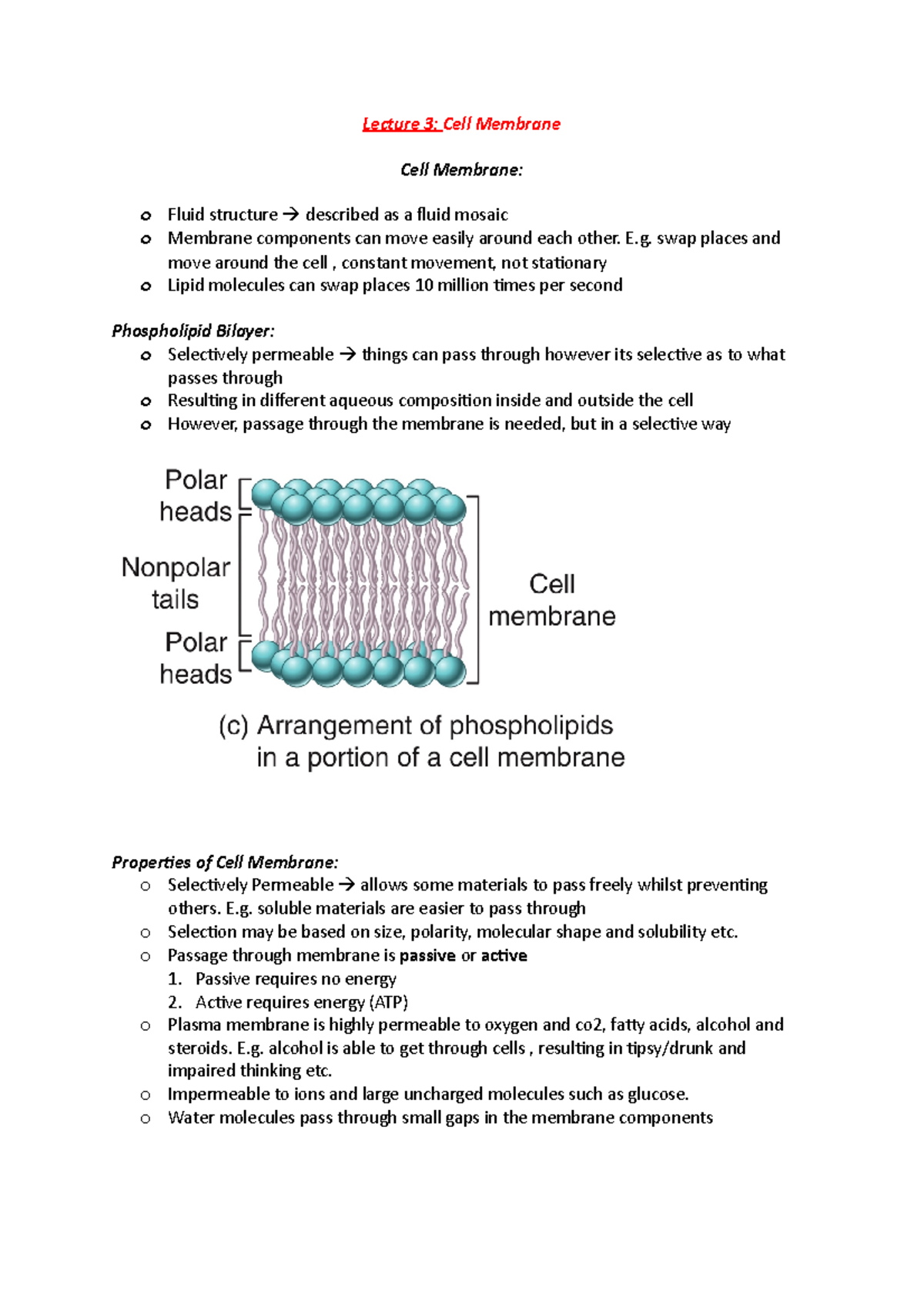 Lecture 3- Cell Membrane Notes - Lecture 3: Cell Membrane Cell Membrane ...