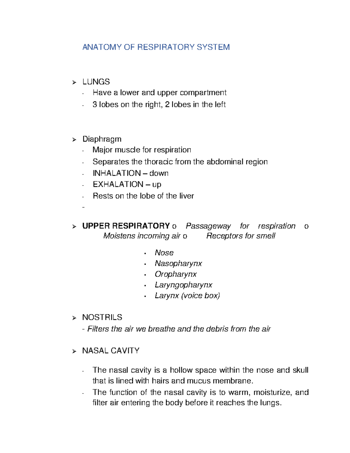 Anatomy OF Respiratory System - ANATOMY OF RESPIRATORY SYSTEM LUNGS ...