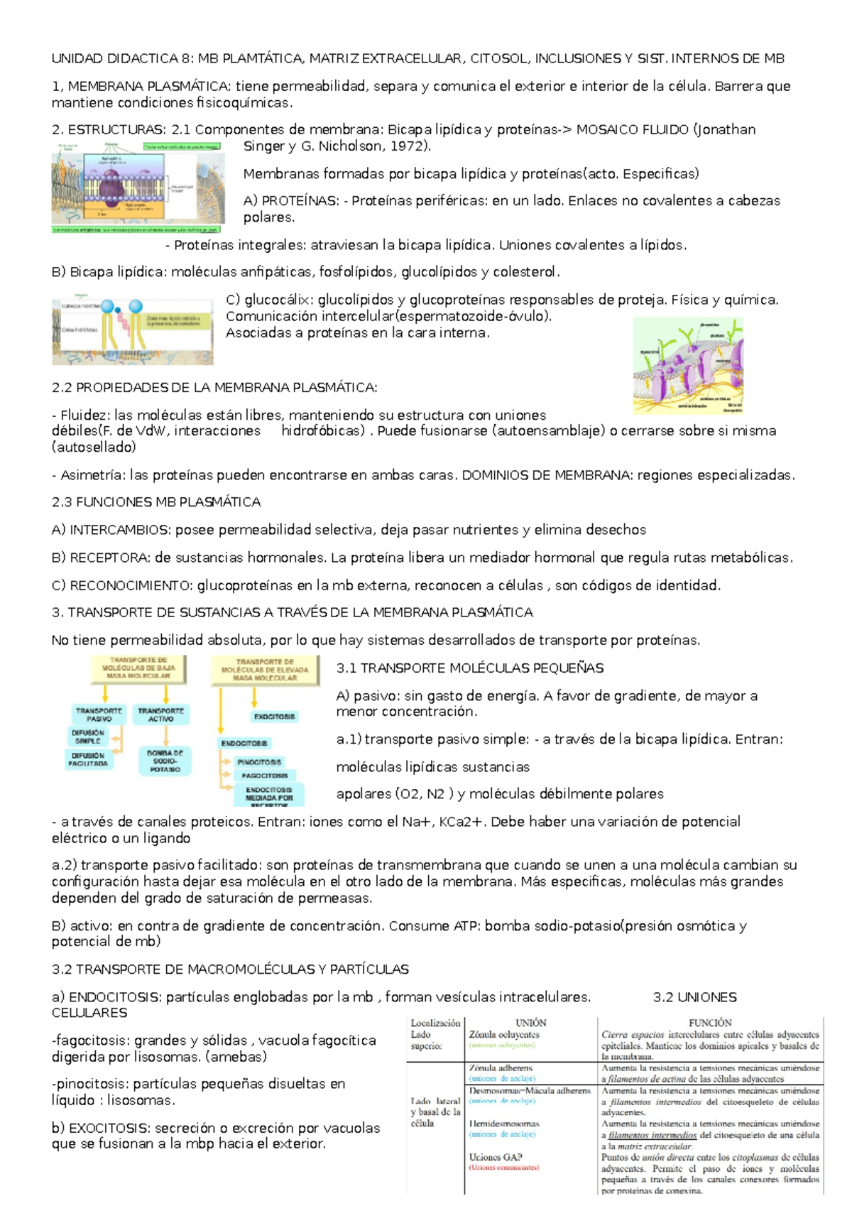 Esquema T8 - UNIDAD DIDACTICA 8: MB PLAMTÁTICA, MATRIZ EXTRACELULAR, CITOSOL, INCLUSIONES Y SIST ...